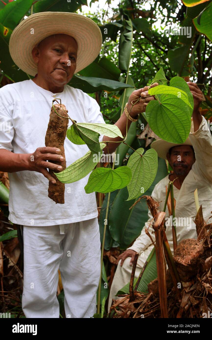 Mexican cave fishing. Local Zoque people in the jungles of southern ...