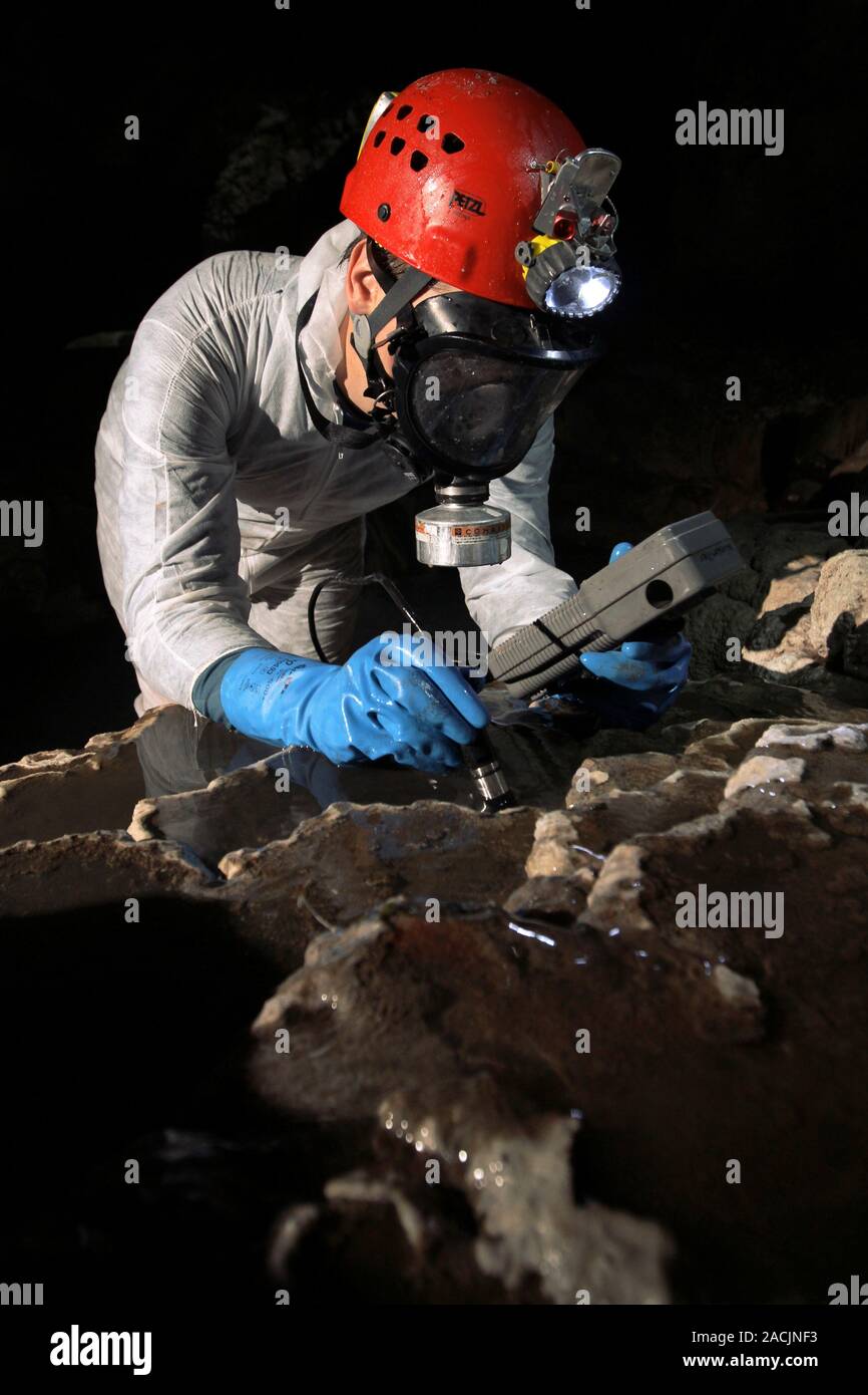 Cave research, Mexico. Researcher exploring Cueva de Villa Luz (Cave of ...