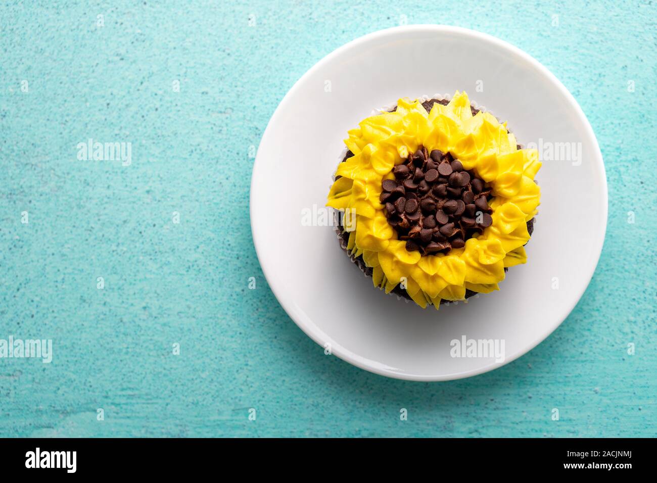 Beautiful sunflower decorated chocolate cupcake on aqua pastel ...