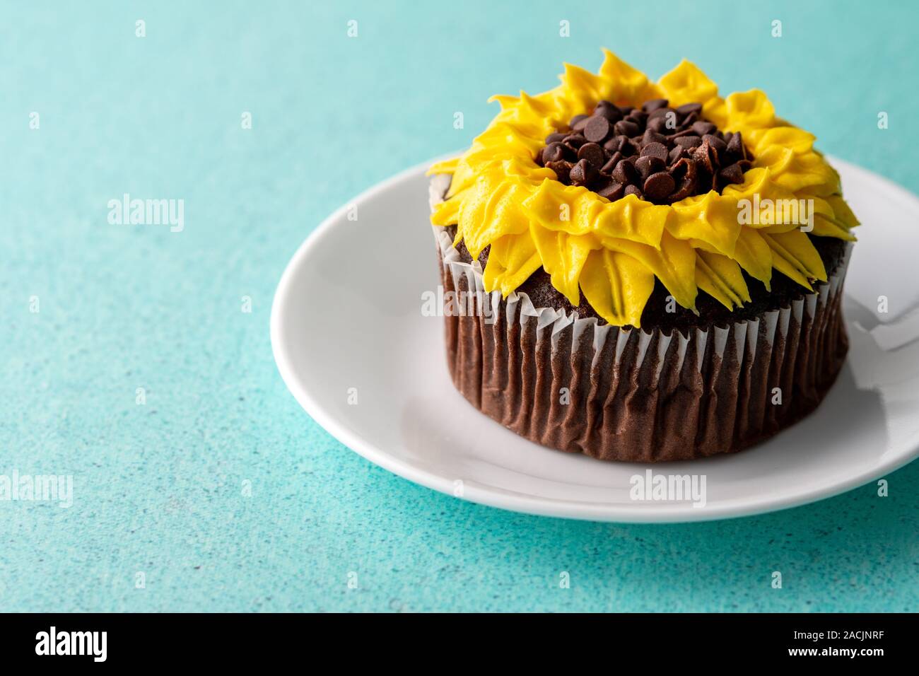Beautiful sunflower decorated chocolate cupcake on aqua pastel ...