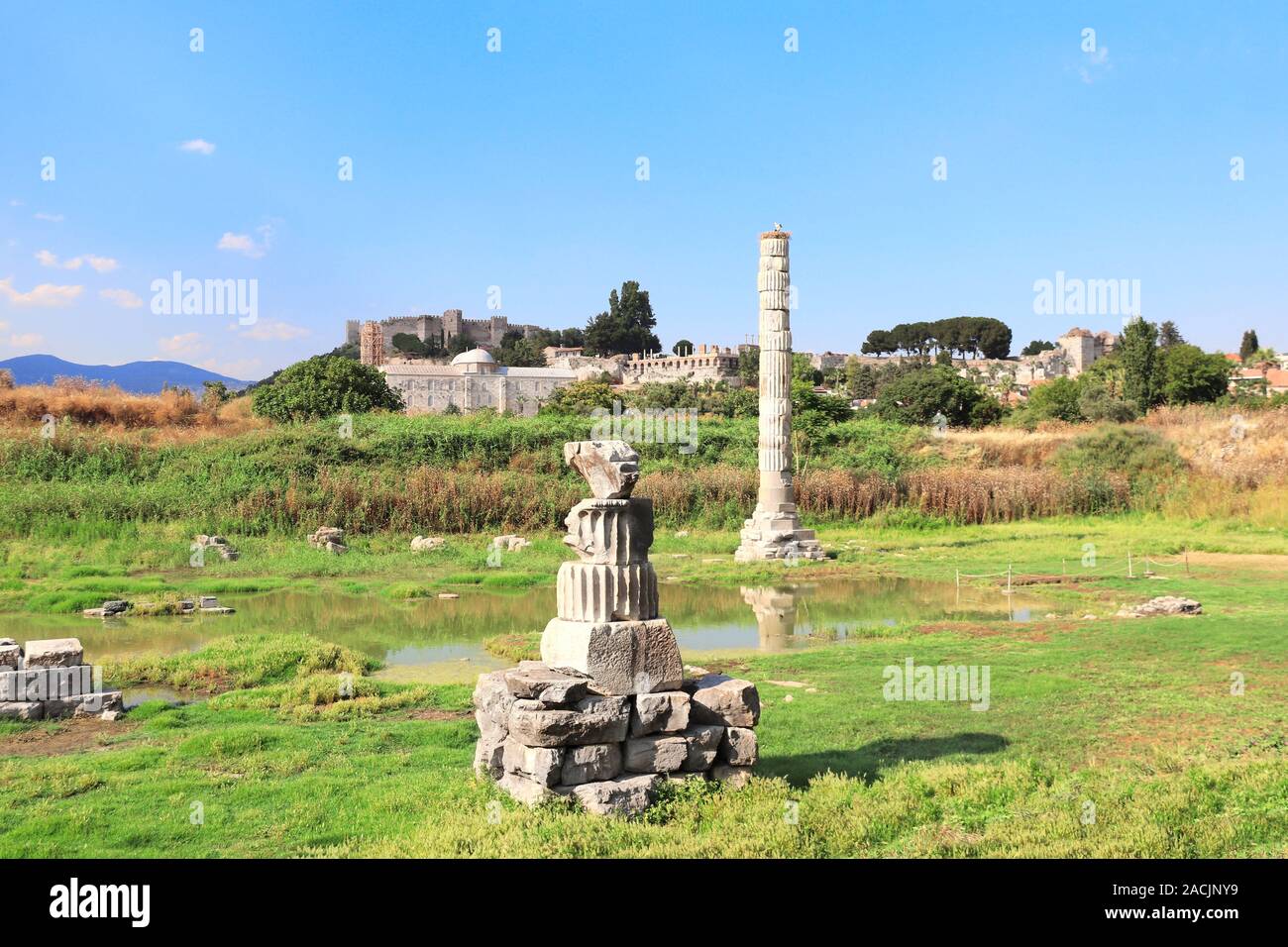 Column and ruins of Temple of Artemis Ephesus, one of the seven wonder ...