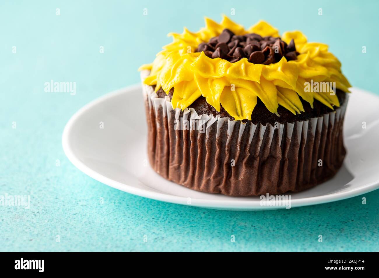 Beautiful sunflower decorated chocolate cupcake on aqua pastel ...