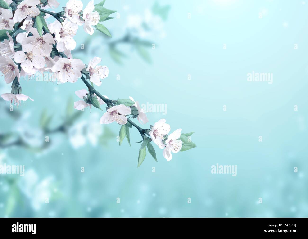 Spring Flower Scenes Wallpaper Spring Scenes Wallpapers Wallpaper