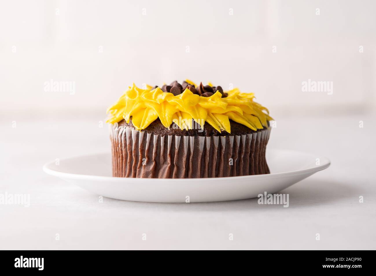 Beautiful sunflower decorated chocolate cupcake on white background ...