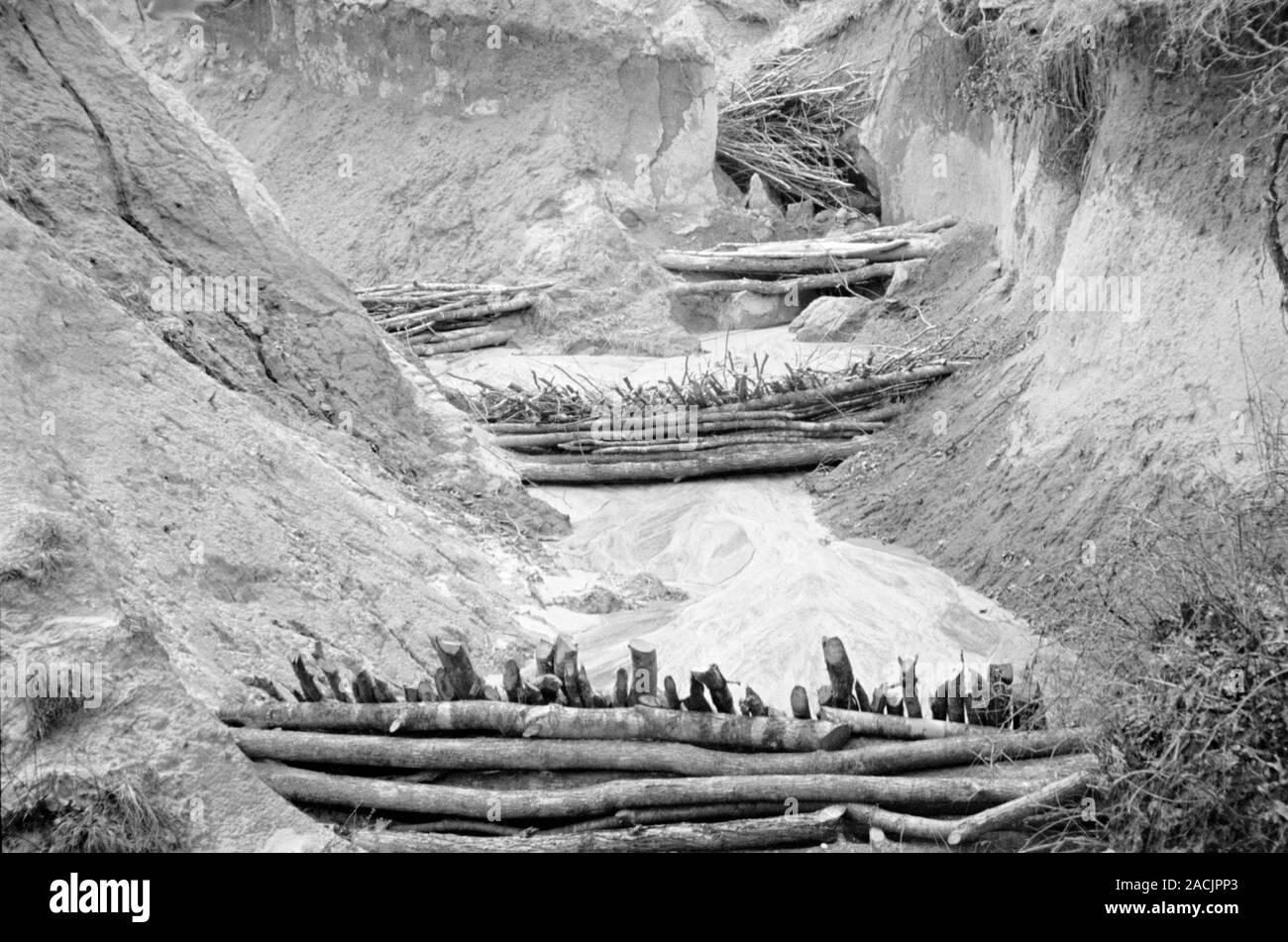Erosion control. Gulley with check dams made of logs and branches ...