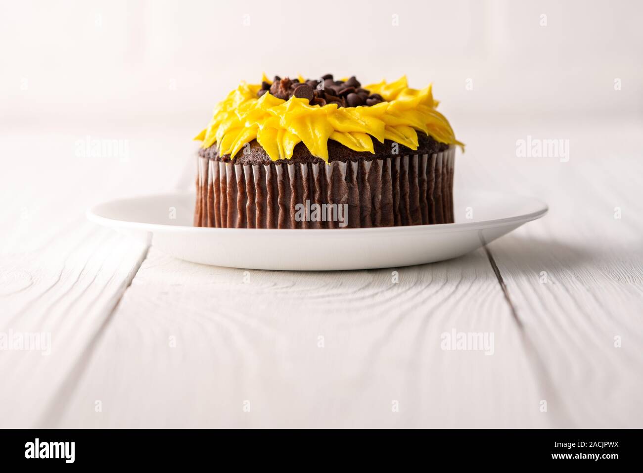Beautiful sunflower decorated chocolate cupcake on white wood ...