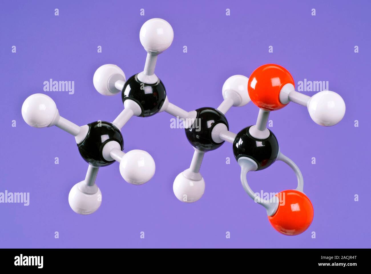 Butanoic acid, molecular model. Also called butyric acid, this chemical ...
