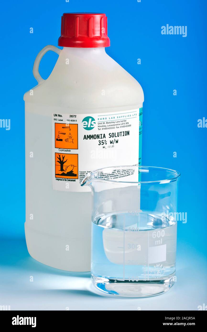 Ammonia solution. Laboratory bottle and beaker of ammonia solution. Ammonia solution is a ...