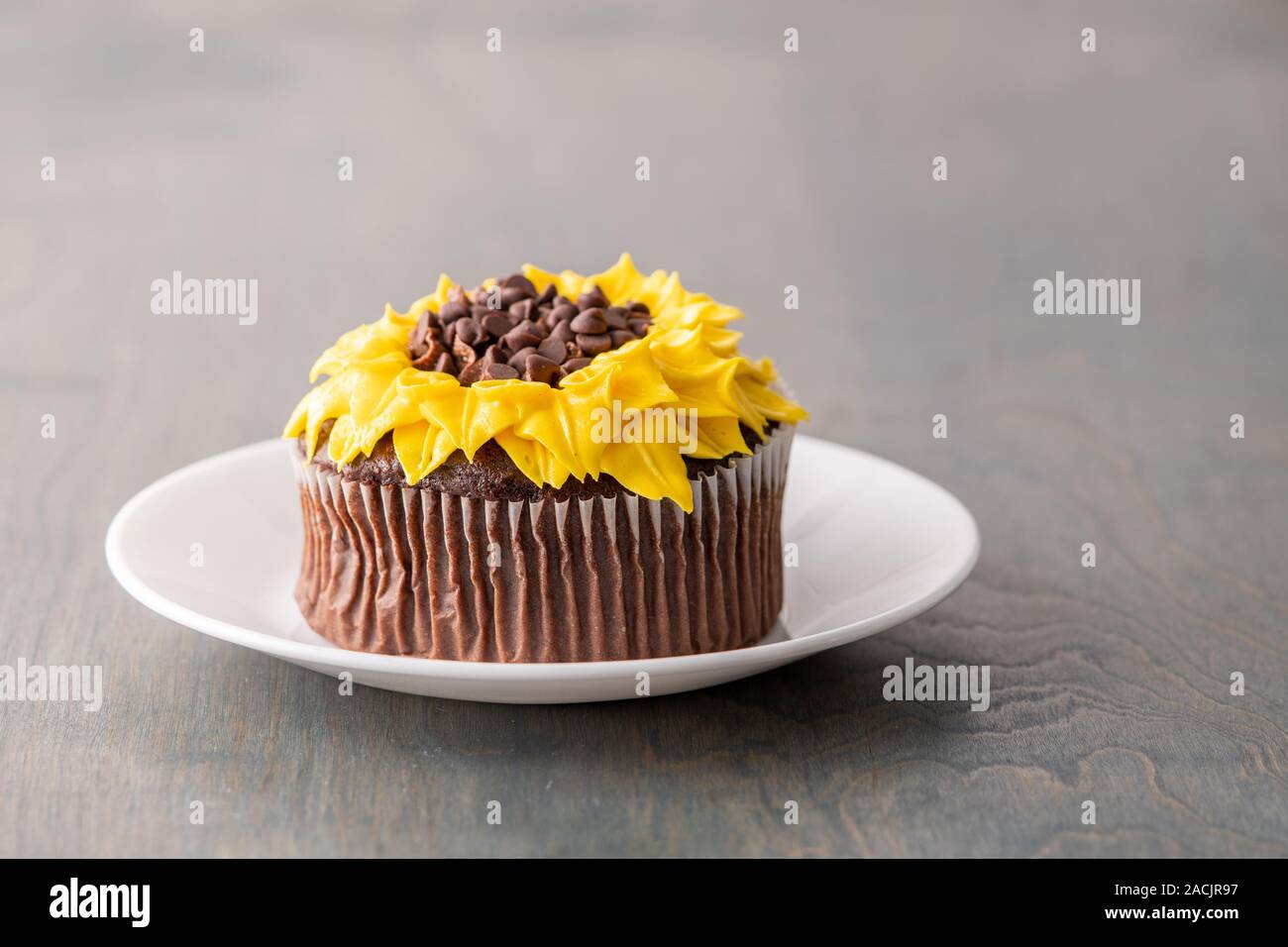 Beautiful sunflower decorated chocolate cupcake on dark wood background ...