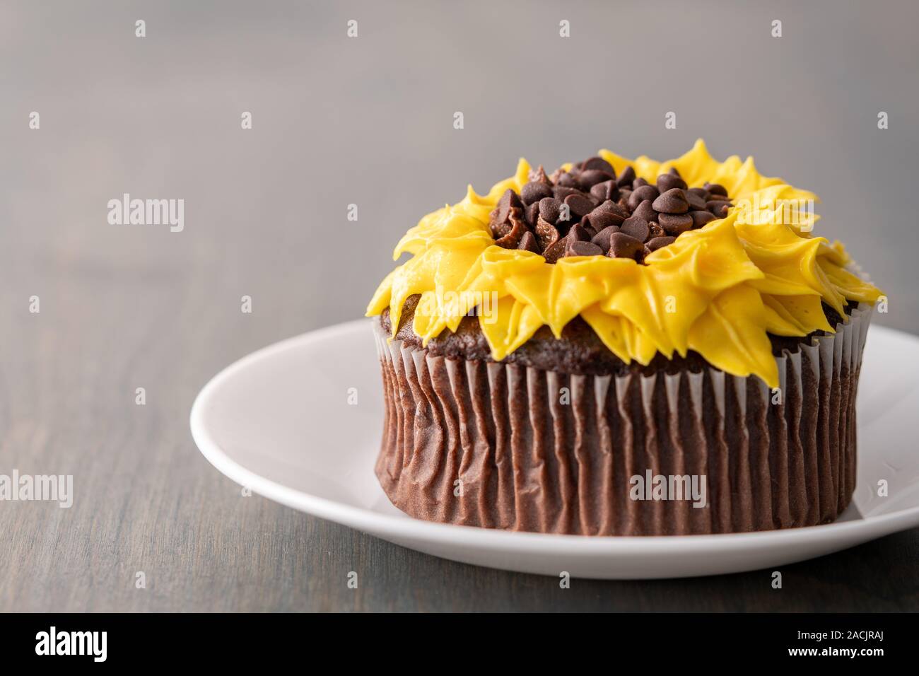 Beautiful sunflower decorated chocolate cupcake on dark wood background ...