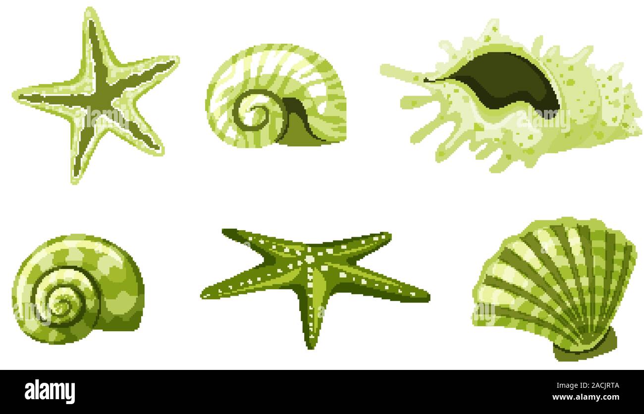 Set of isolated seashells in green color illustration Stock Vector ...