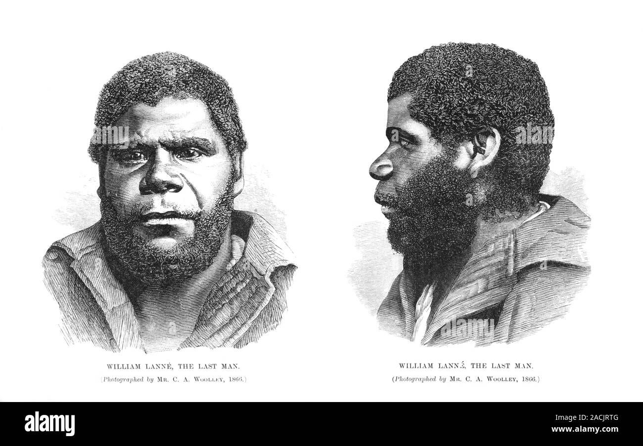 Last Tasmanian man. Artworks based on photographs taken in 1866 of ...