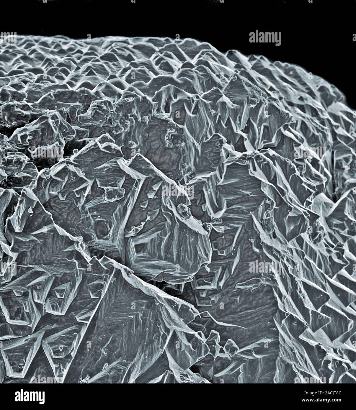 Sea salt, scanning electron micrograph (SEM Stock Photo - Alamy