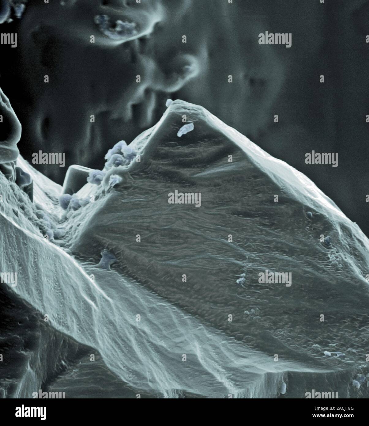 Sea salt, scanning electron micrograph (SEM Stock Photo - Alamy