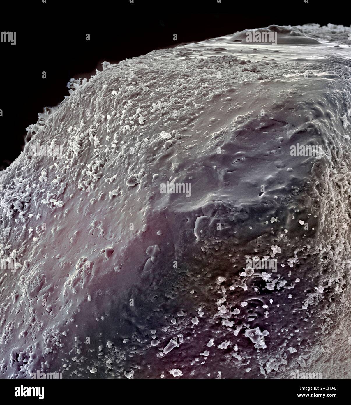 Sugar, coloured scanning electron micrograph (SEM Stock Photo - Alamy