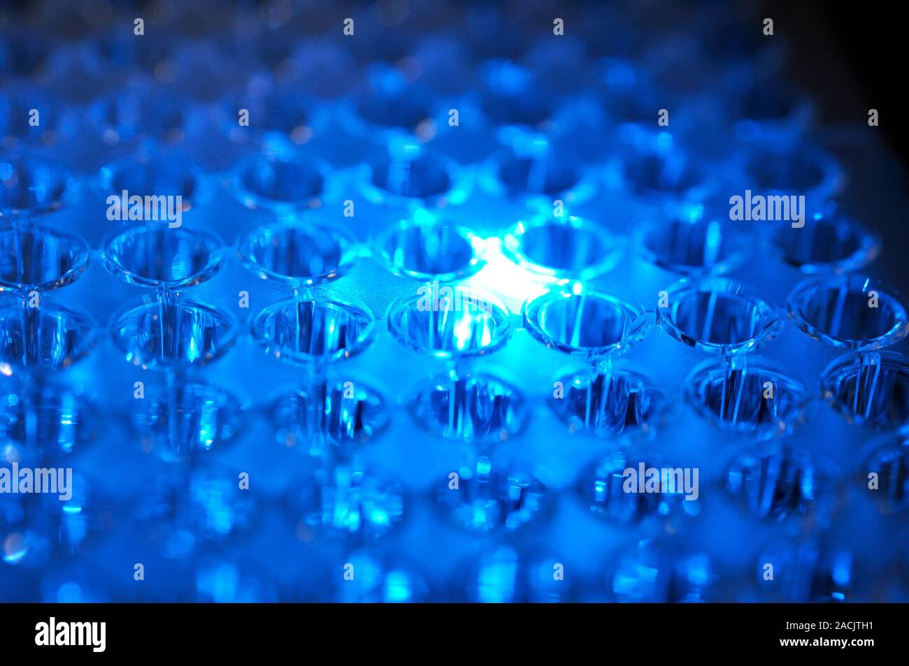 Multiwell sample tray Stock Photo - Alamy