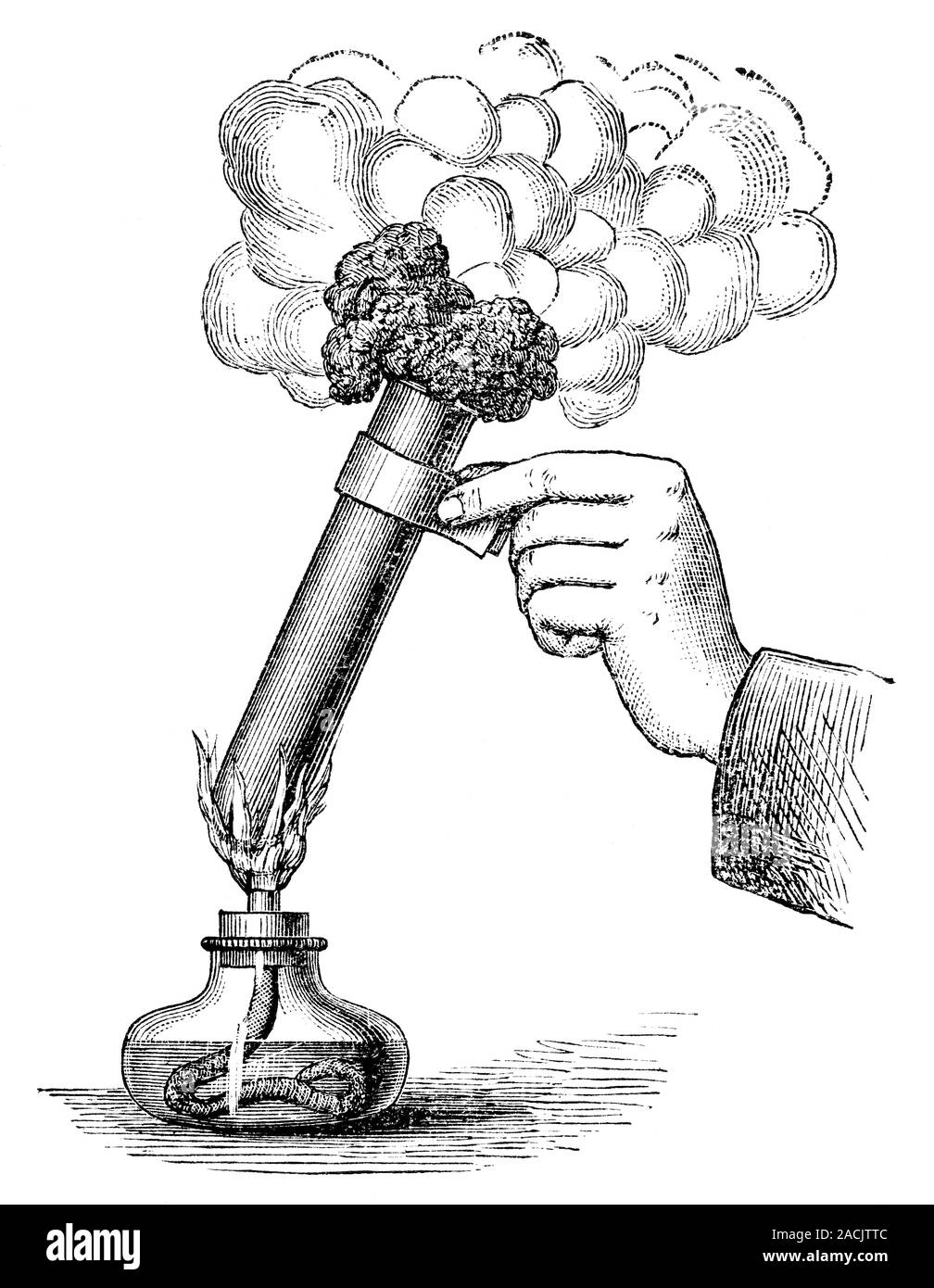 Sugar dehydration experiment. Sugar will decompose into carbon and ...