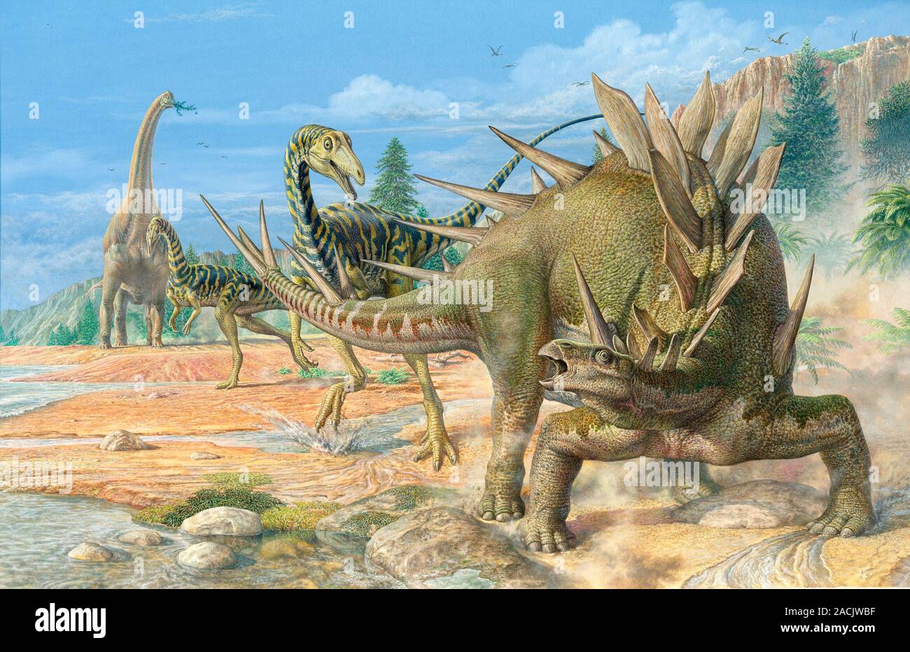 Dinosaurs, including Elaphrosaurus (stripped), and Kentrosaurus (right ...