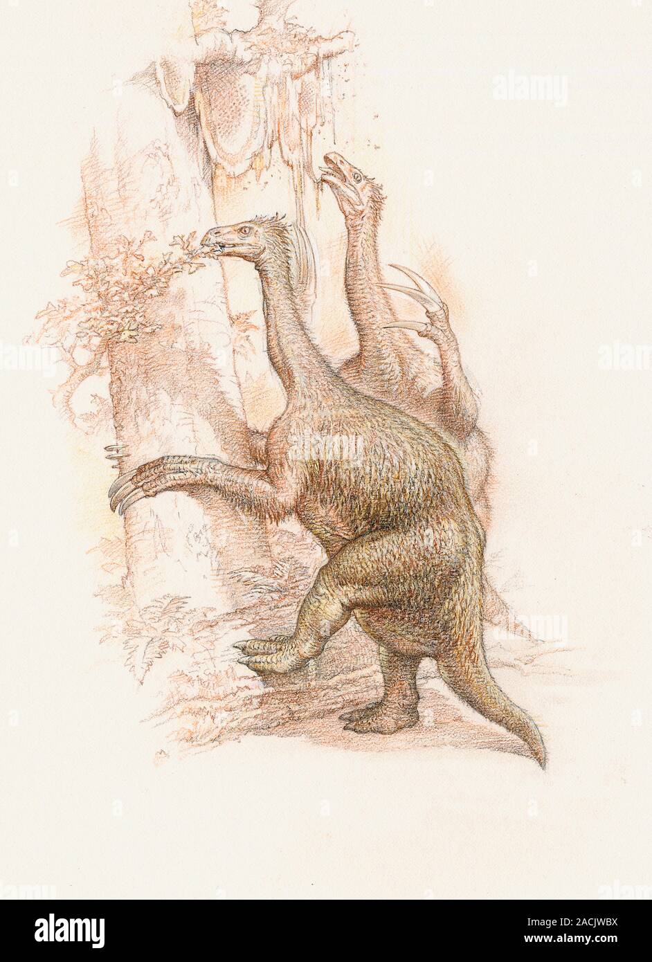 Beipiaosaurus dinosaurs feeding. Beipiaosaurus is one of the largest ...