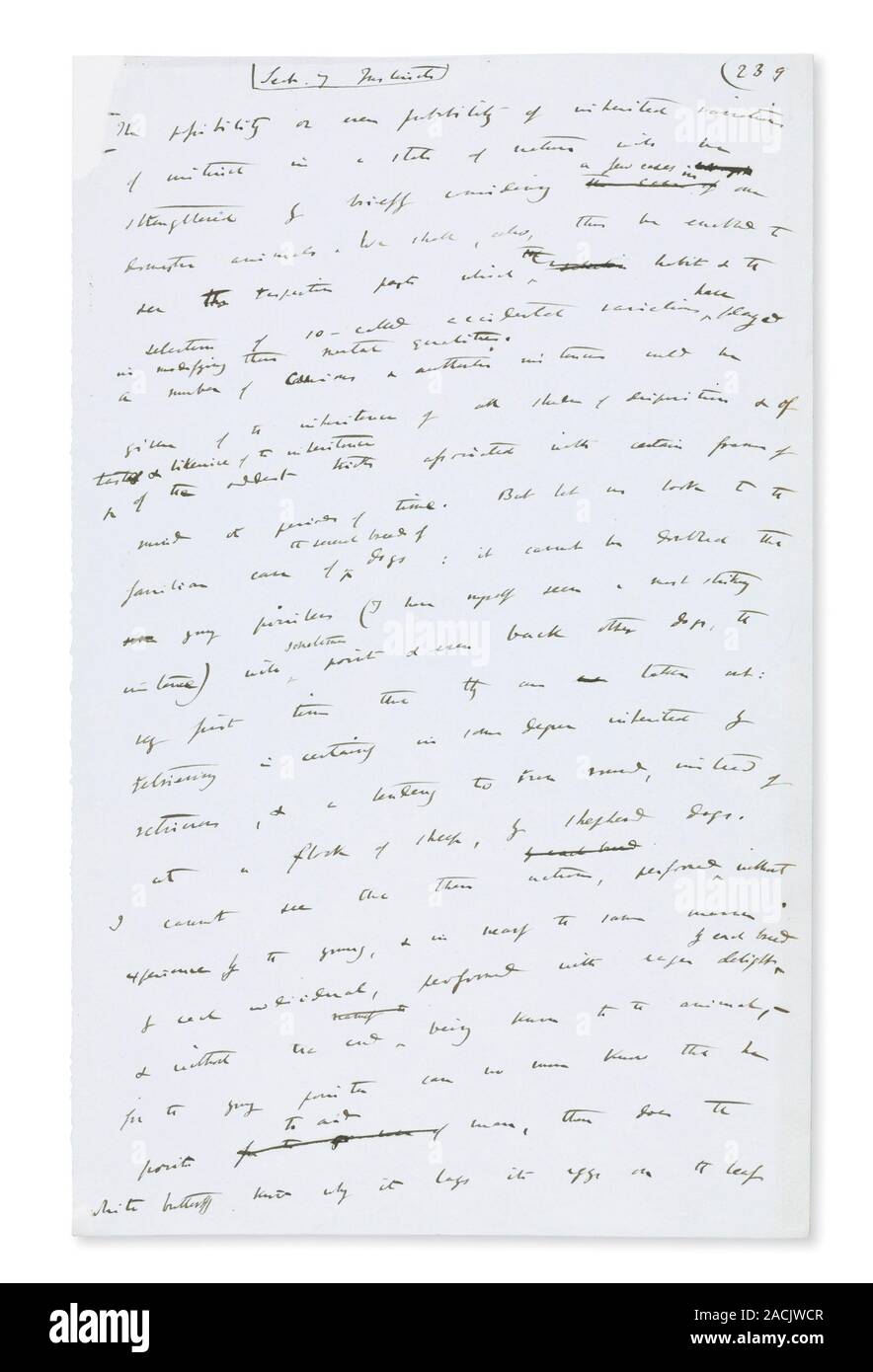 On The Origin Of Species Manuscript Page This Page Was Hand Written By The British Naturalist