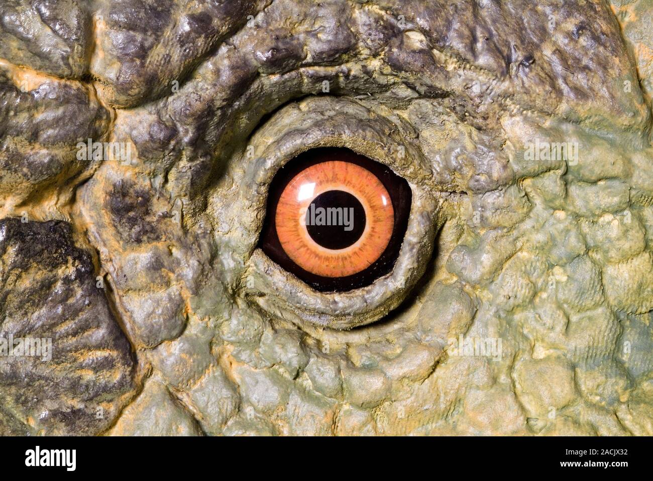 Animatronic dinosaur eye. This model of an Euoplocephalus dinosaur was ...