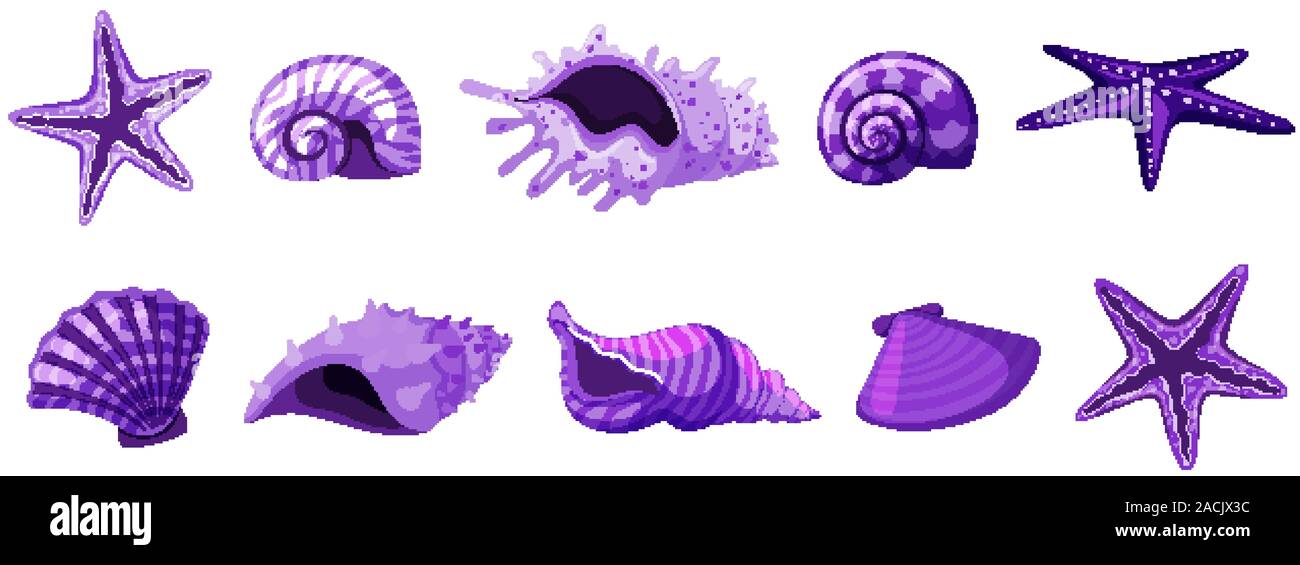 Cartoon Seashells Purple