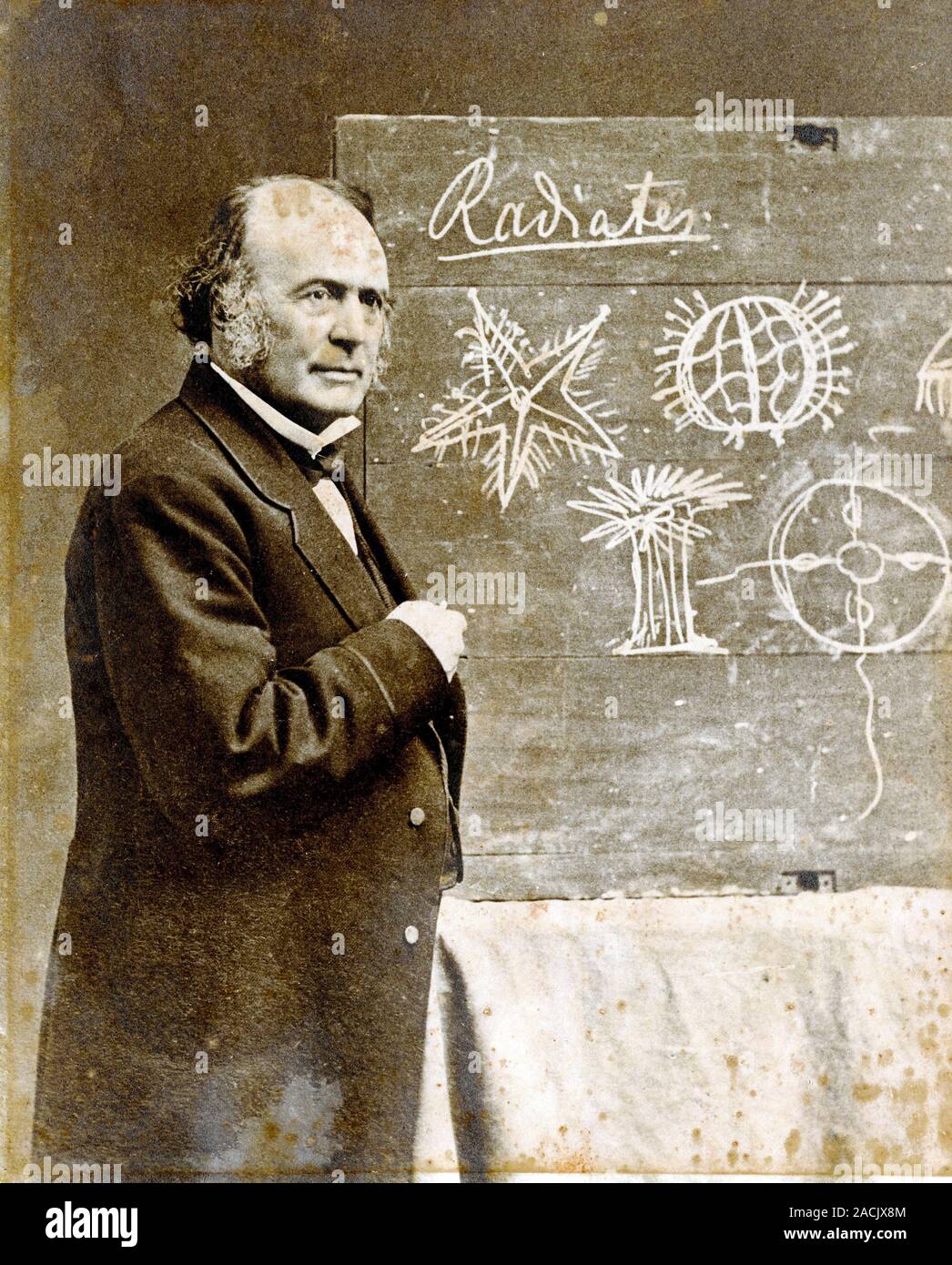 Jean Louis Rodolphe Agassiz (1807-1873), Swiss-US naturalist Stock ...