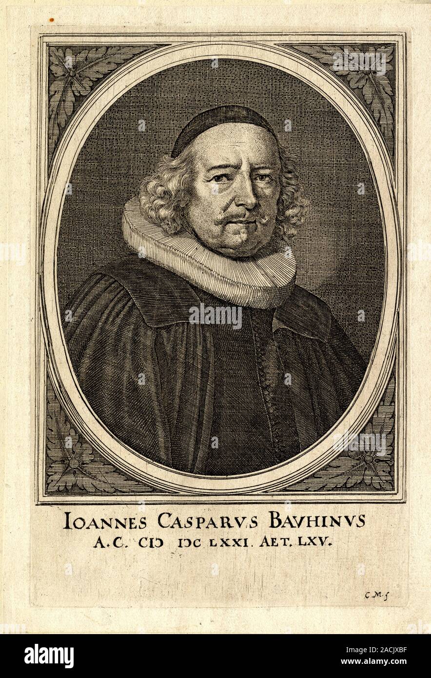 Johann Caspar Bauhin (1606-1685), Swiss physician and botanist. The ...