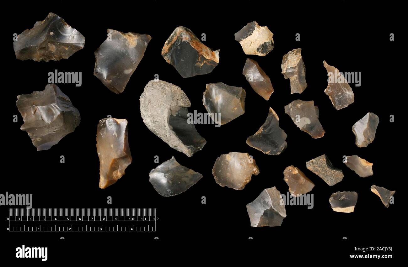 Prehistoric flint tools. Museum collection of prehistoric flint tools ...