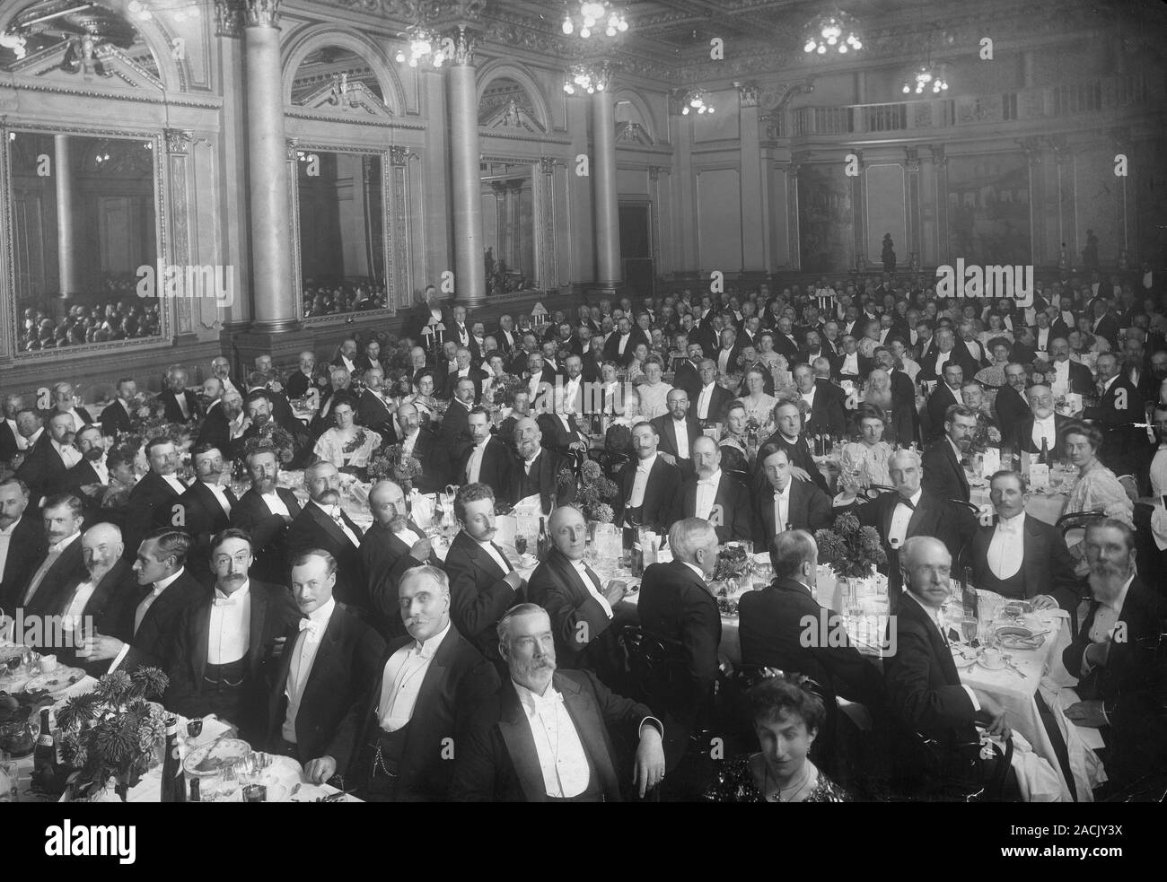 Natural History Museum dinner Stock Photo - Alamy