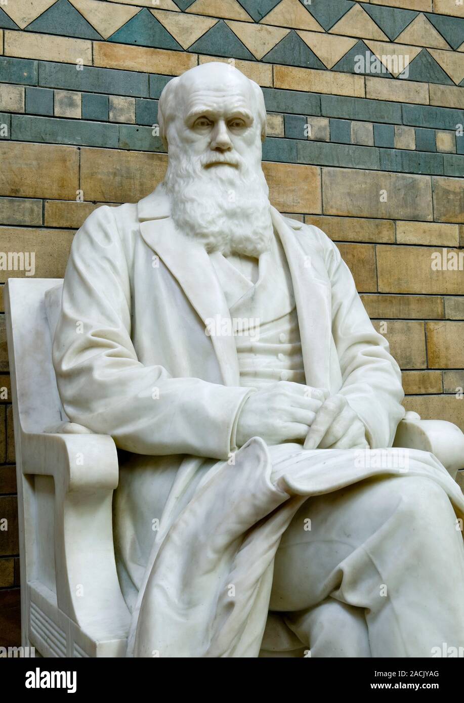 Charles Darwin. Statue of British naturalist Charles Robert Darwin ...