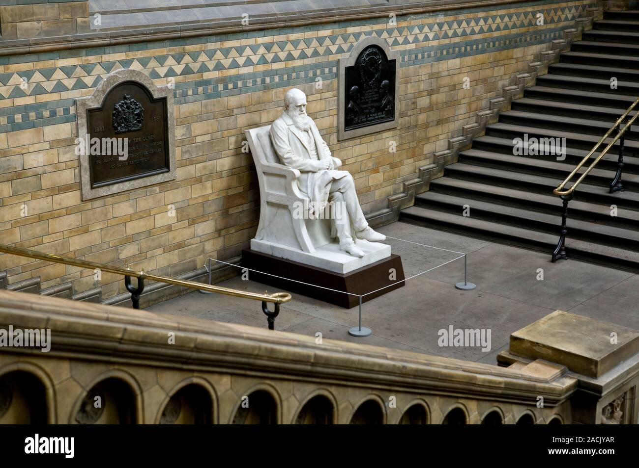 Charles Darwin. Statue of British naturalist Charles Robert Darwin ...