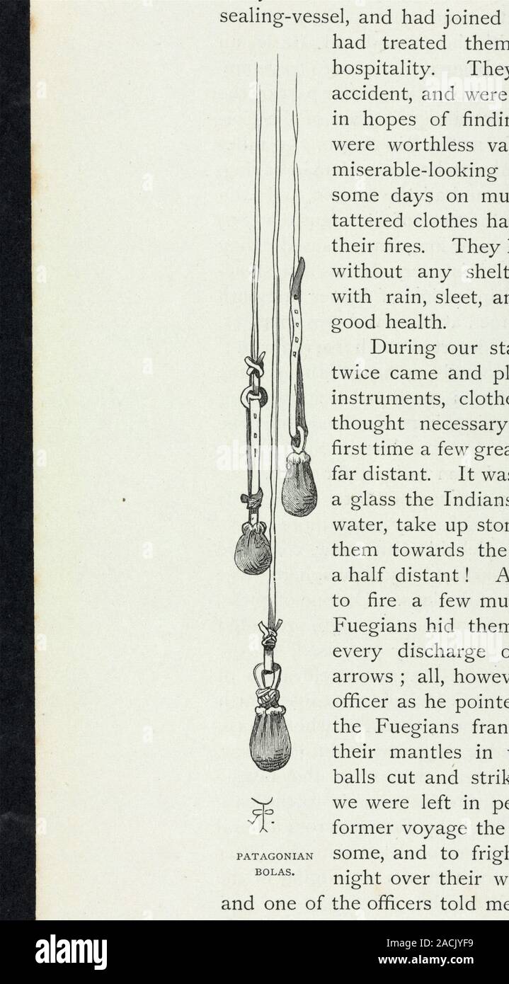 Patagonian bolas. These throwing weapons are used to entangle a hunted ...