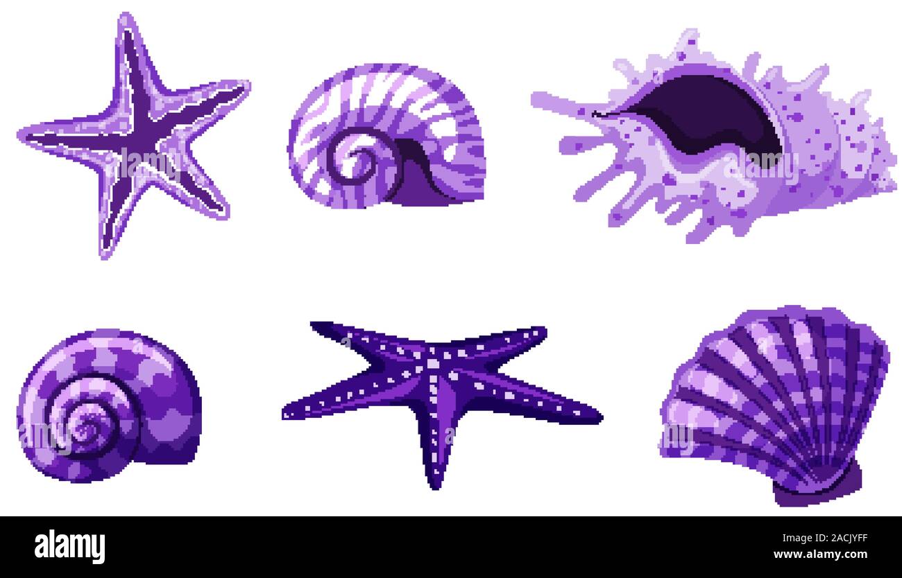 Set of isolated seashells in purple colors illustration Stock Vector ...