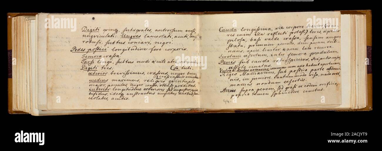 Endeavour expedition notes. These notes were made by the Swedish ...