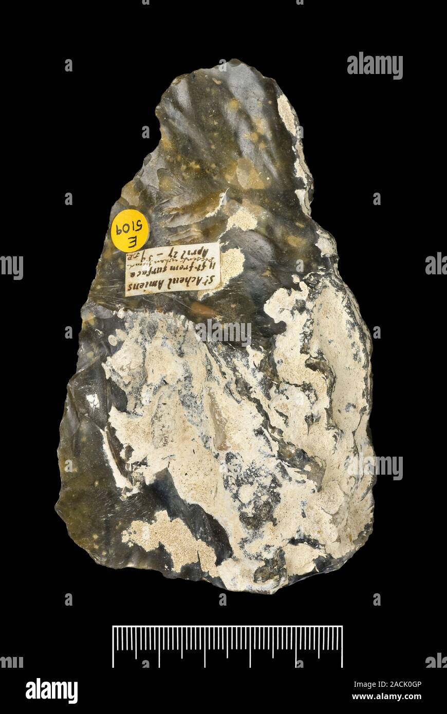 Prehistoric flint hand-axe. This hand-axe was discovered in France in ...