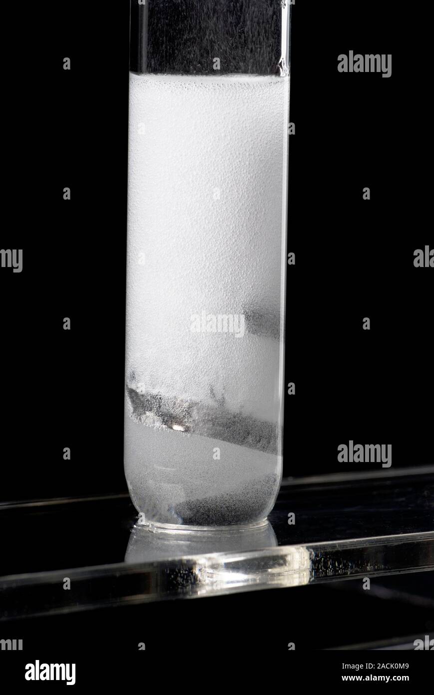 Magnesium reacting with acid. Magnesium (Mg) ribbon in a test-tube of ...