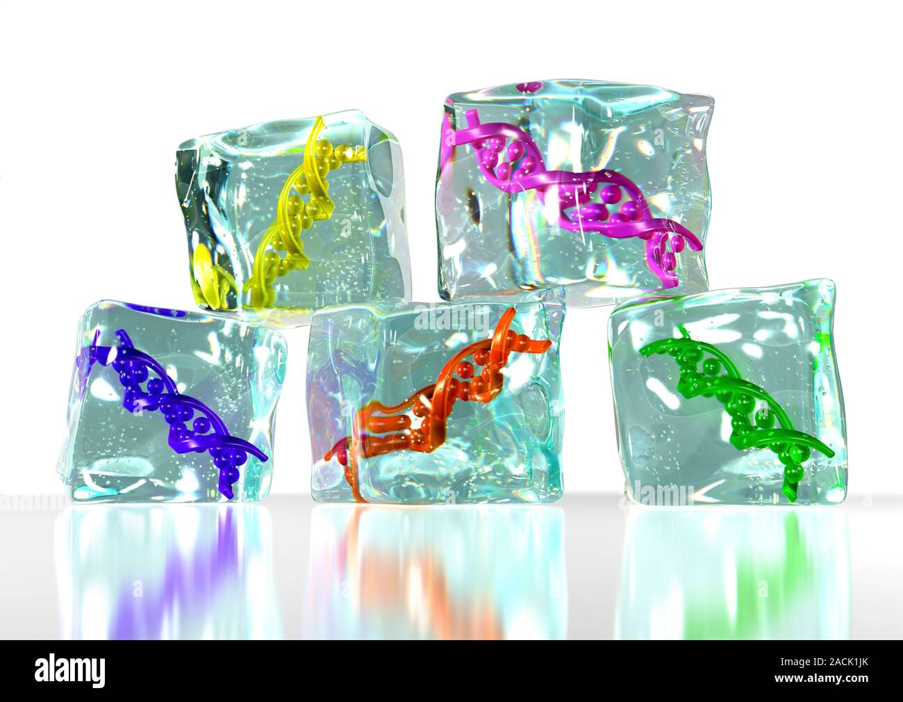 Frozen DNA, conceptual image. Computer artwork showing DNA ...