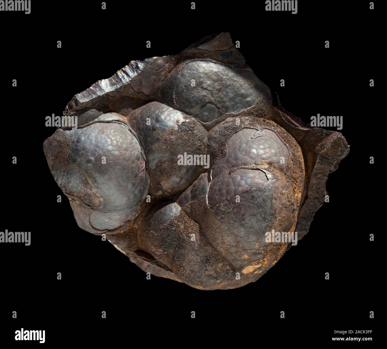 Arsenic. This metalloid chemical element occurs naturally in many ...