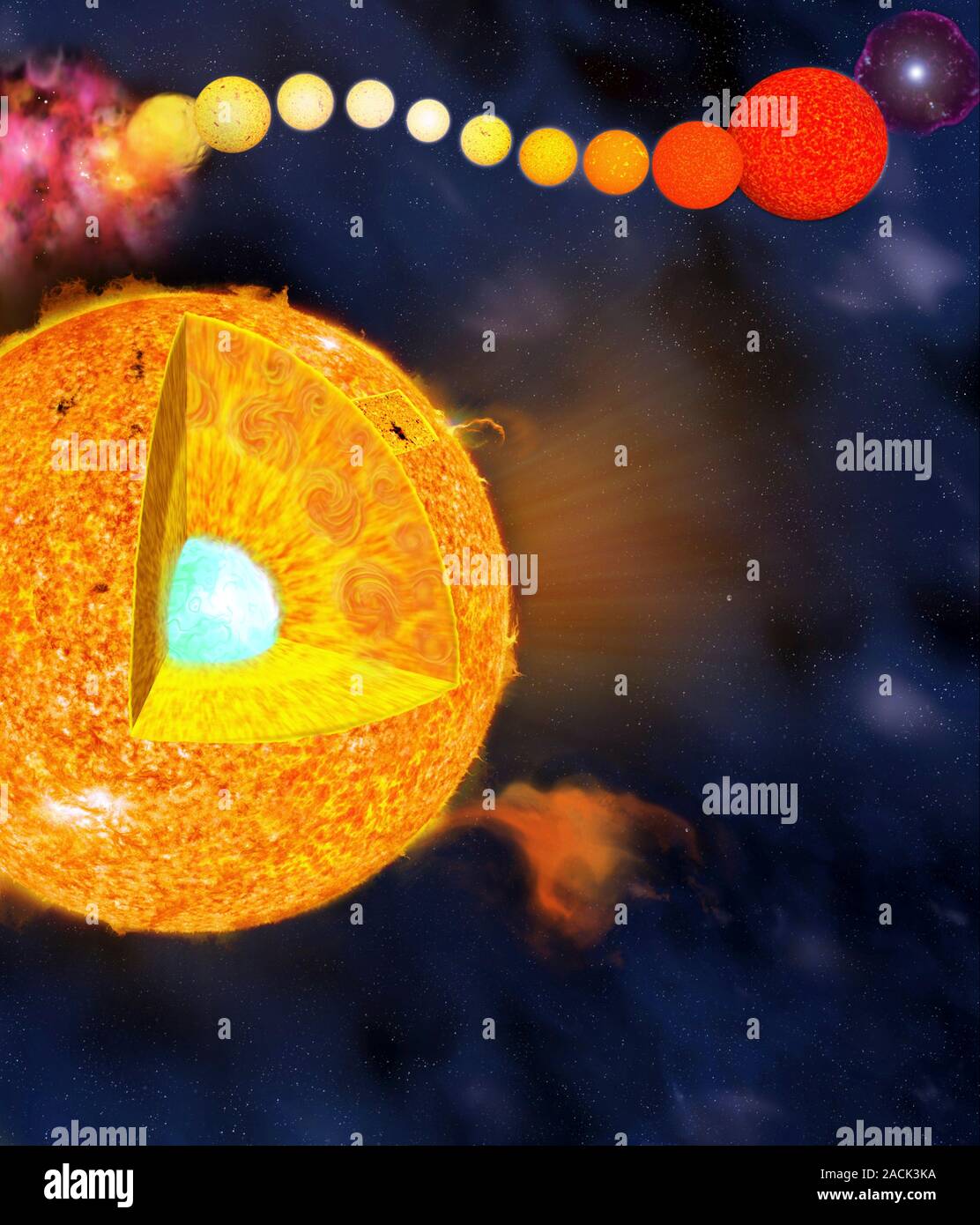 Solar structure and life-cycle. Computer artwork showing the structure ...