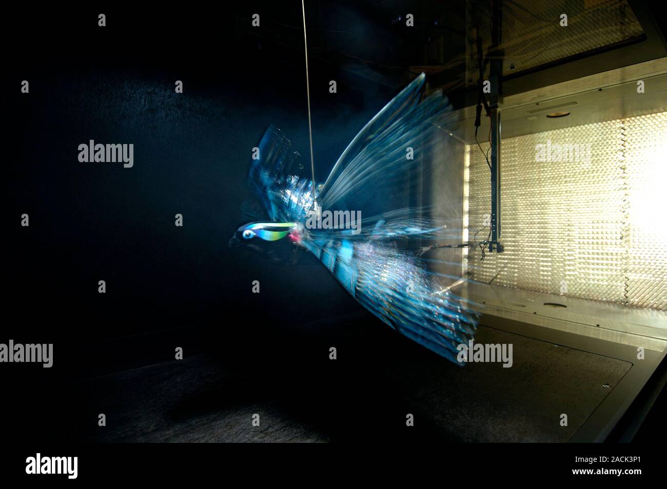 Aerodynamics of flight research. Mechanical bird flapping its wings in ...