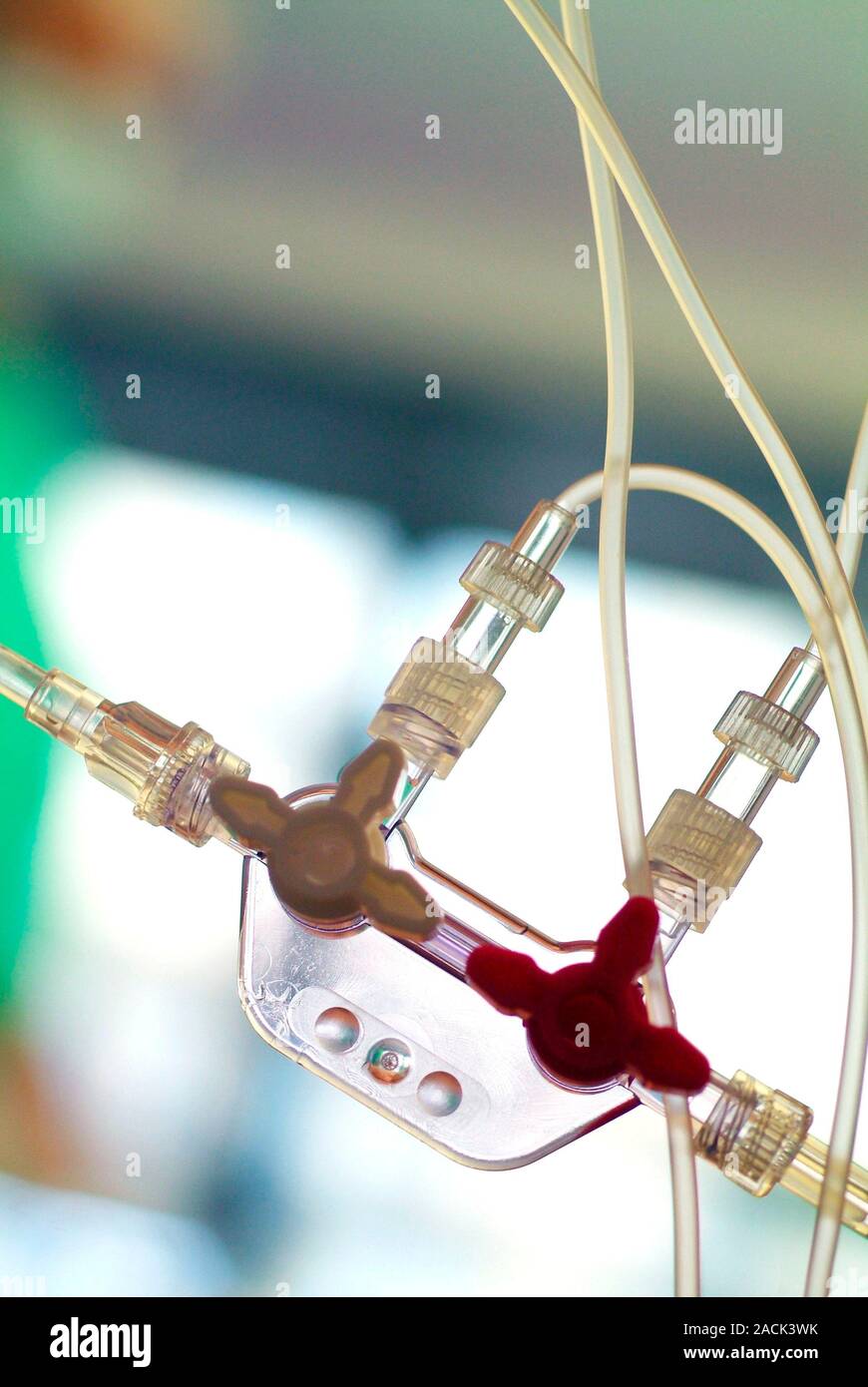 Infusion equipment. Close-up of tubing and junctions used to administer ...