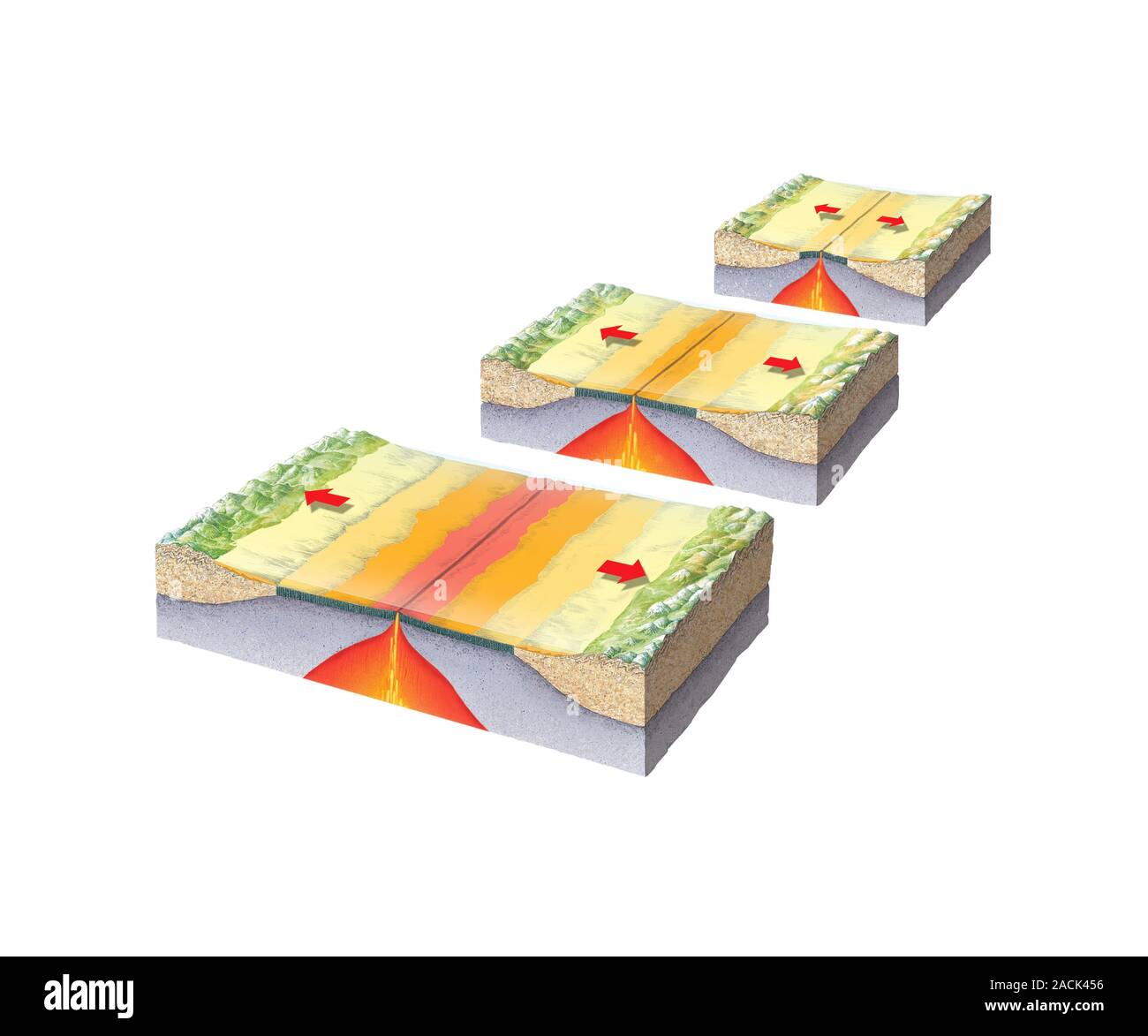 Sea floor spreading. Cutaway artworks showing the process of sea floor ...