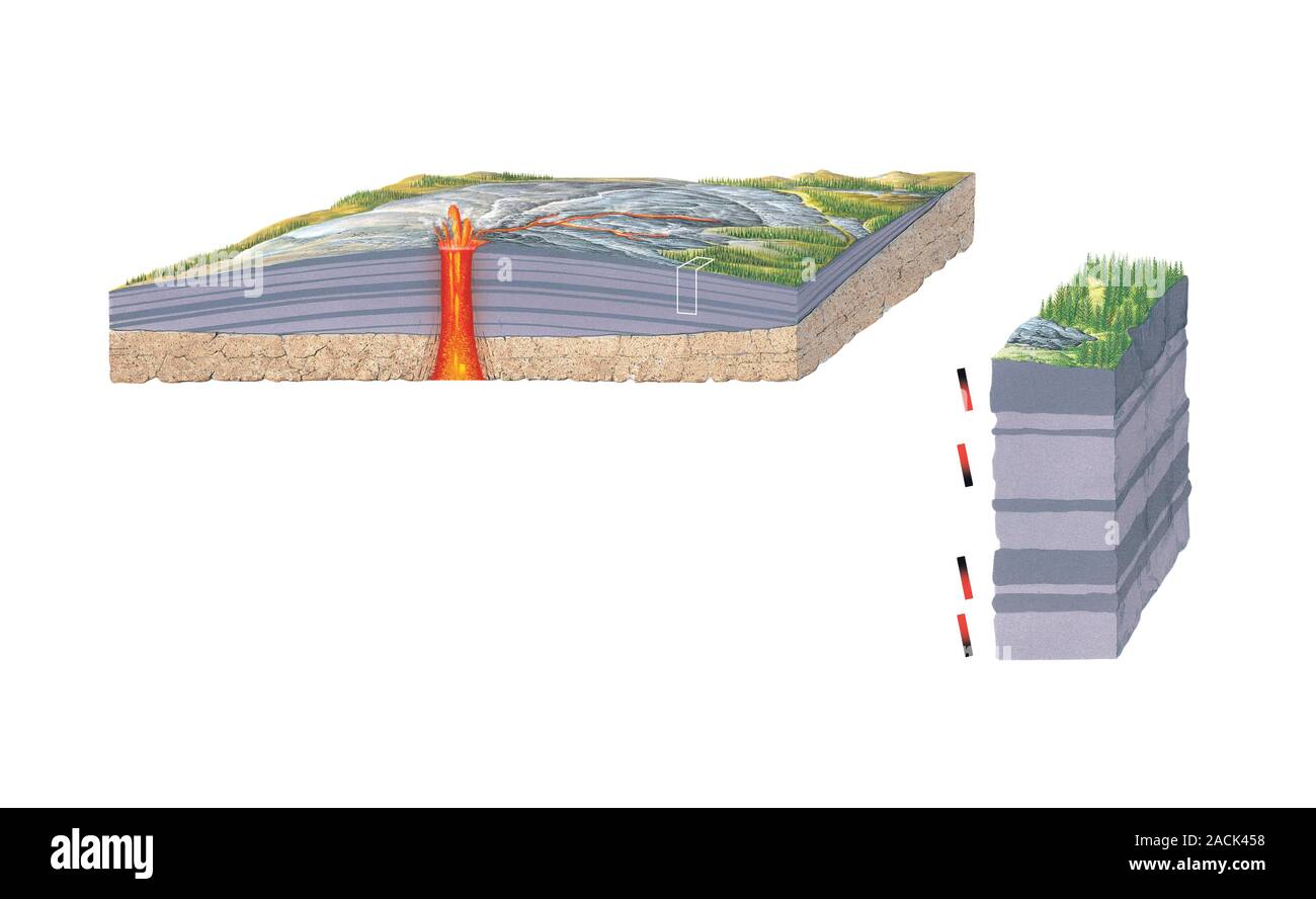 Magnetic reversal in volcanic rocks. Cutaway artwork of a shield ...