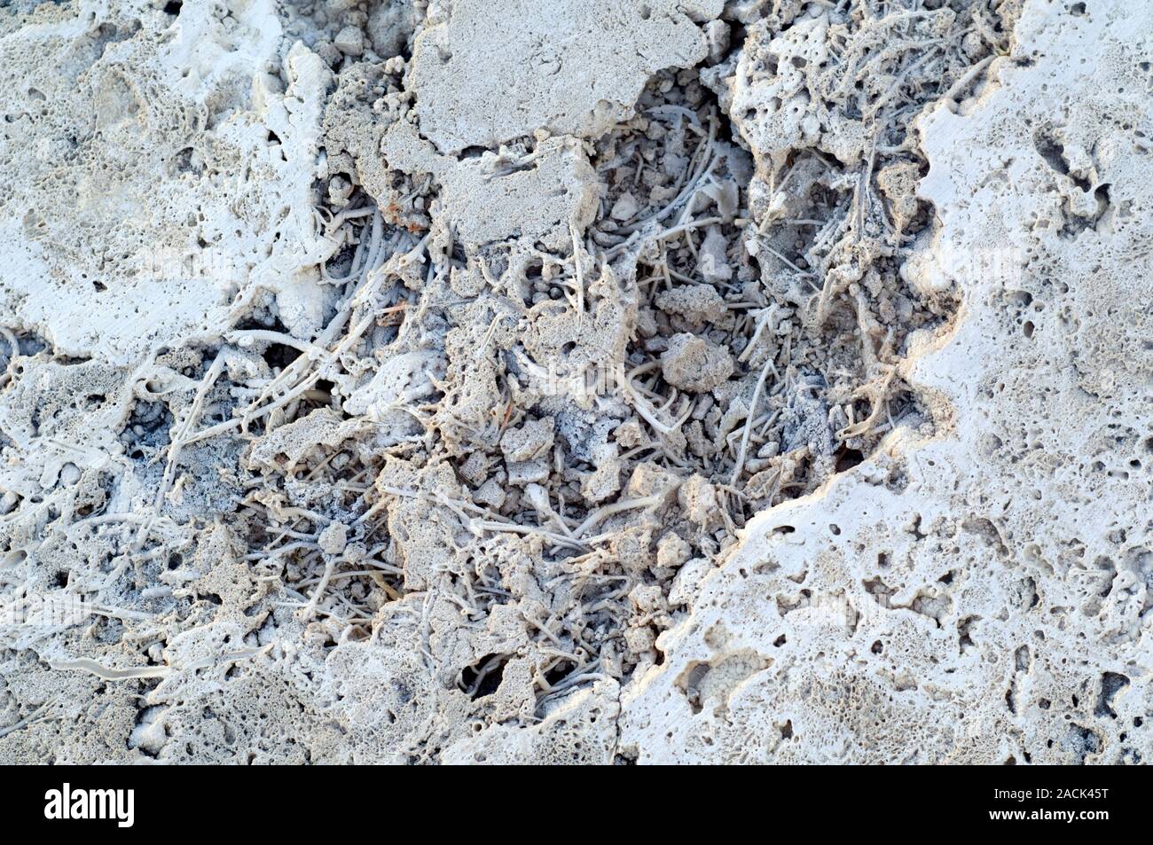 Travertine rock sample. Travertine is a form of limestone deposited by ...