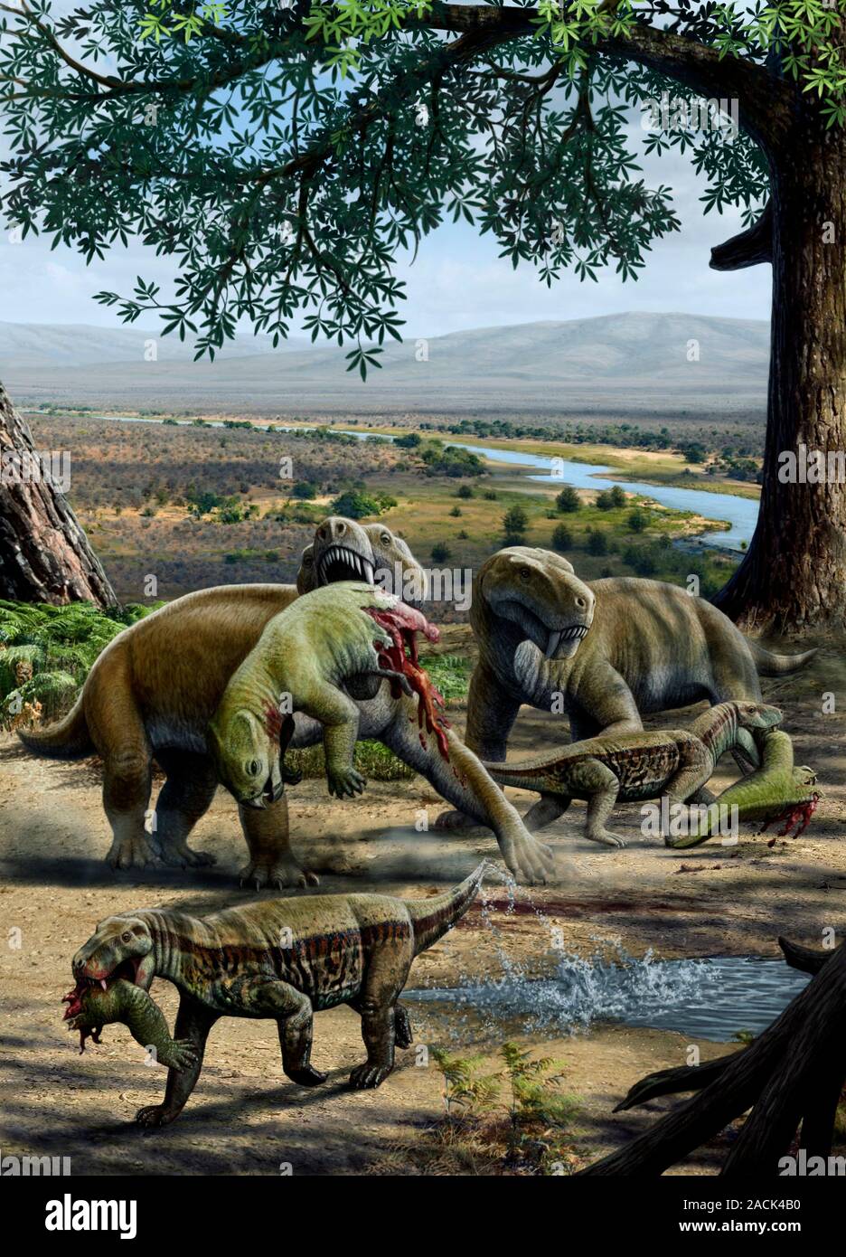 Permian animals. Computer artwork of Rubidgea sp. gorgonopsians taking ...