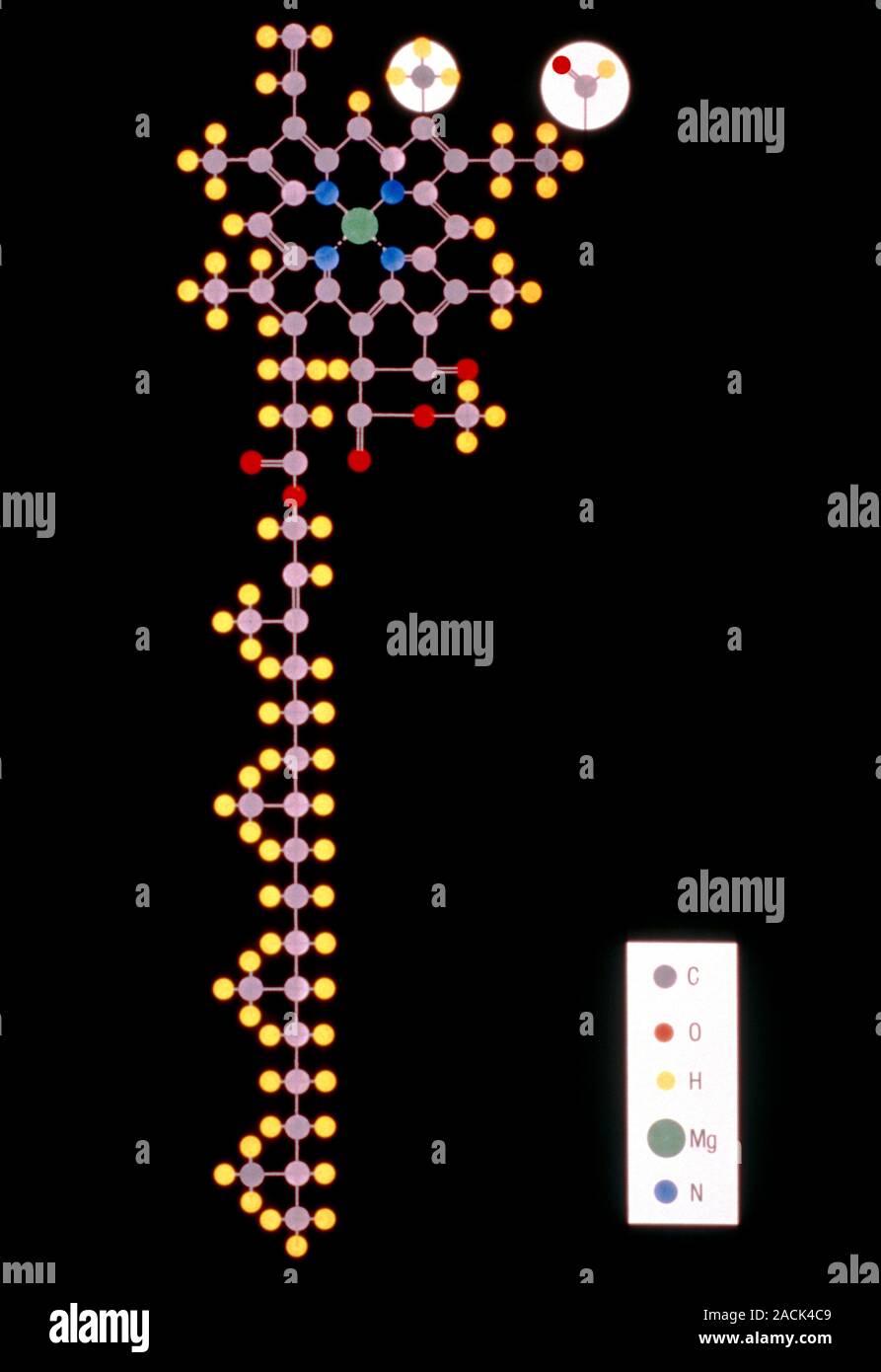Chlorophyll molecule. Computer model of the photoreceptor molecule ...