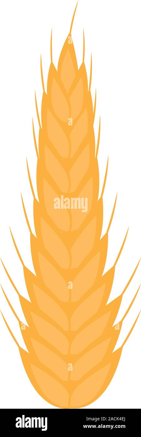 Isolated wheat ear vector design Stock Vector Image & Art - Alamy