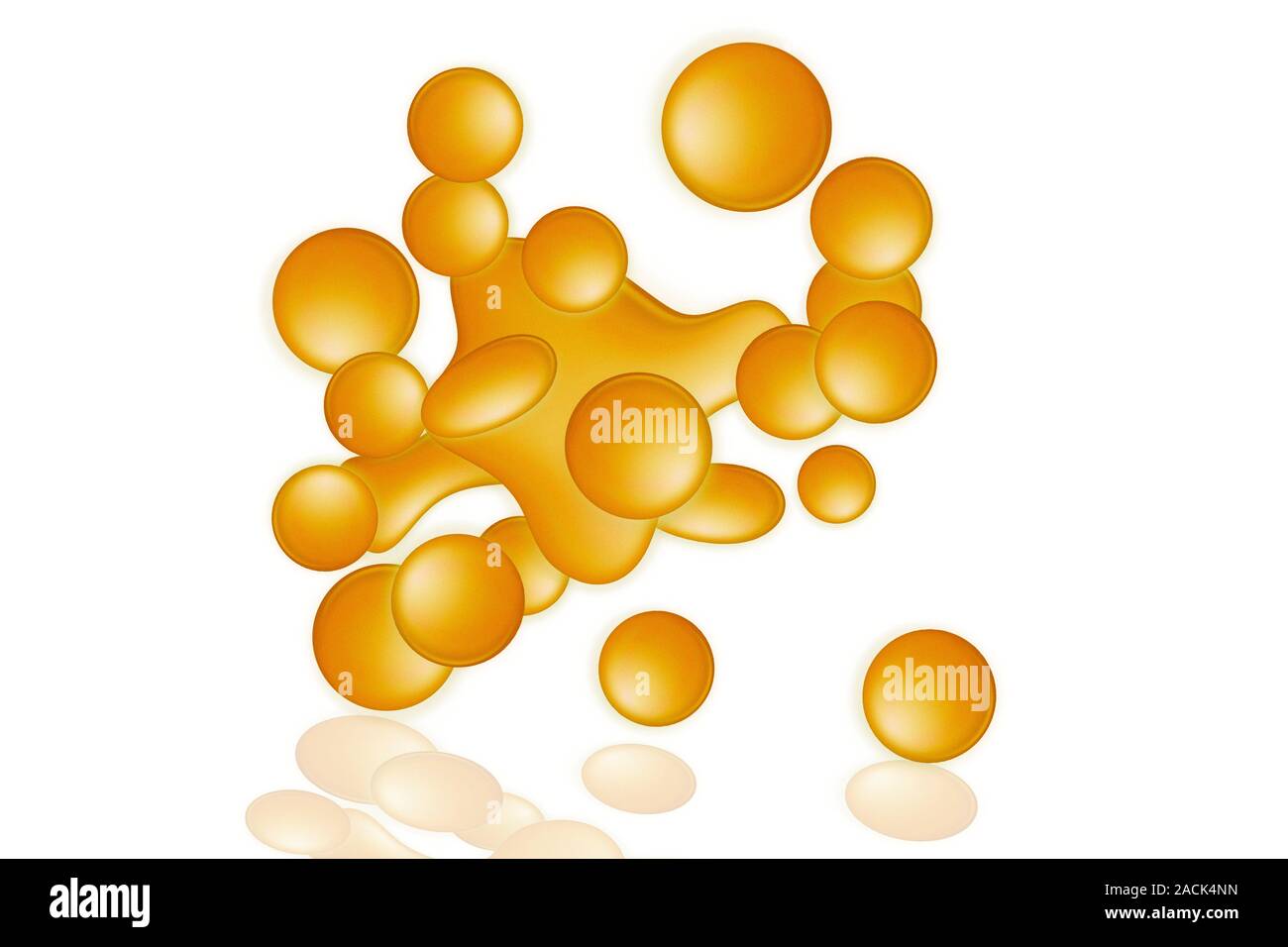 Apoptosis, conceptual image. Computer artwork showing an apoptotic cell ...