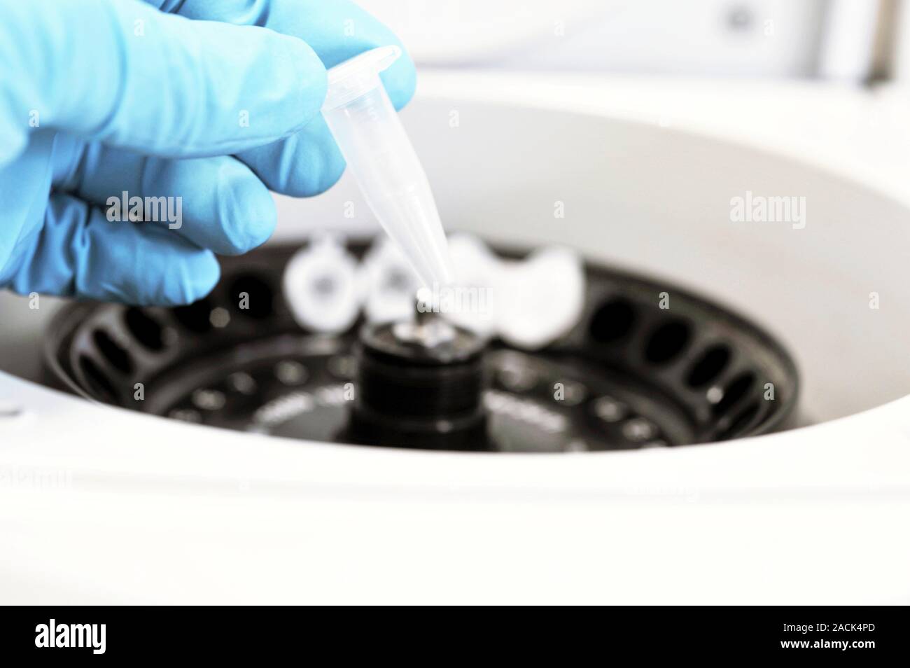 Botanical laboratory. Scientist loading samples into a centrifuge in a ...